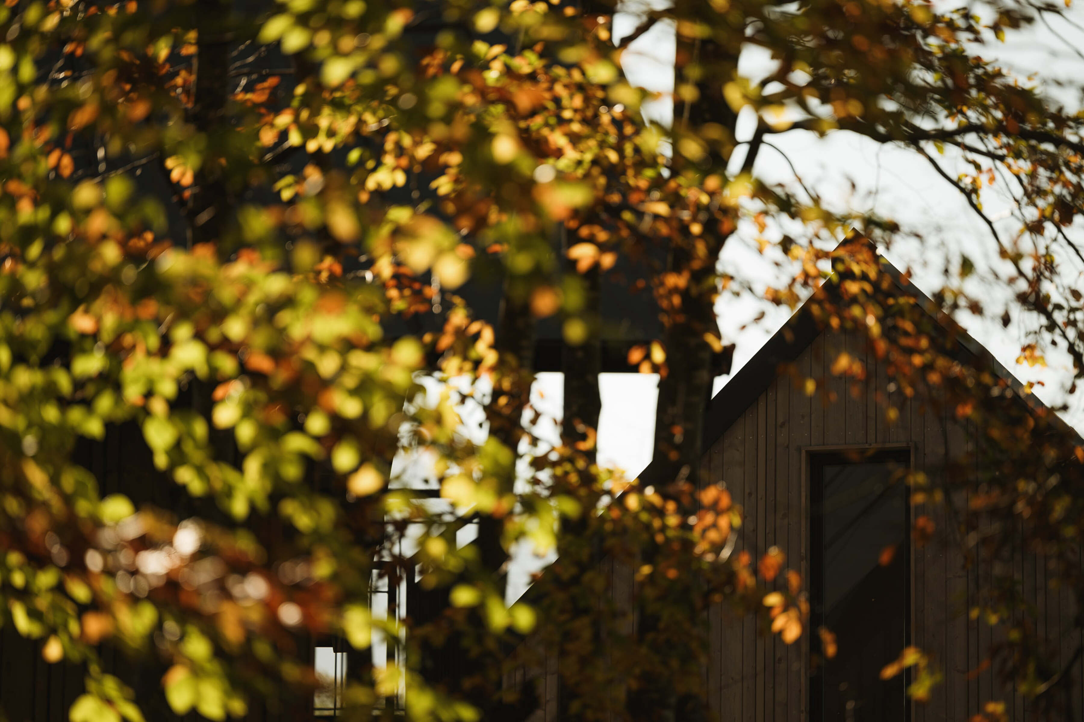Chalets am Chiemsee - Agrad Chalets